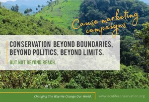 9 of the Most Influential Cause Marketing Campaigns to Inspire You